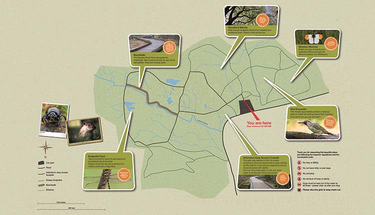 Burrator Arboretum & Nature Reserve - Walking Routes on Dartmoor