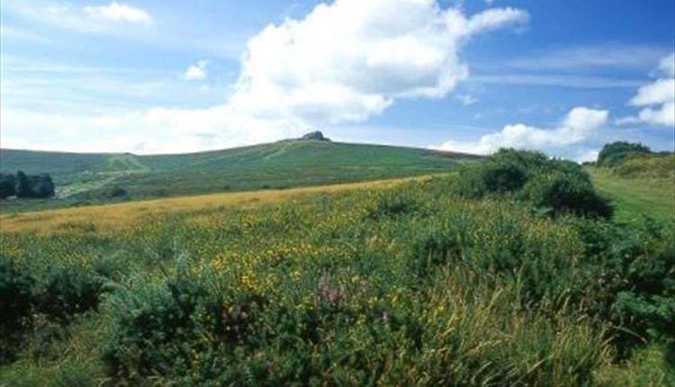 Templar Way - Walk on Dartmoor - Walking Routes