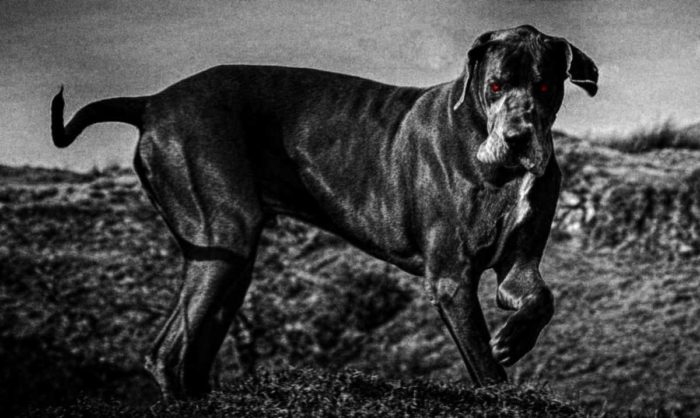 Myths and Legends of Dartmoor - Folklore of the Moor