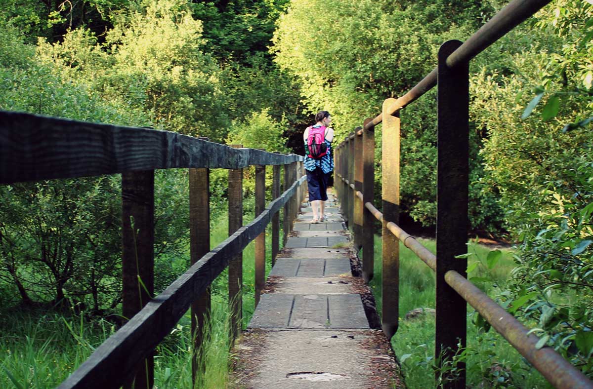 Circular Walks on Dartmoor - Circular Walking Routes on Dartmoor