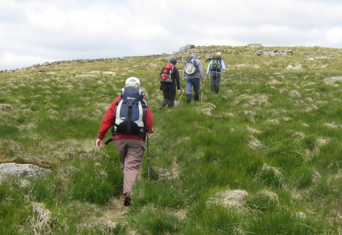 Walking on Dartmoor - The best walking routes on Dartmoor - Countryside ...
