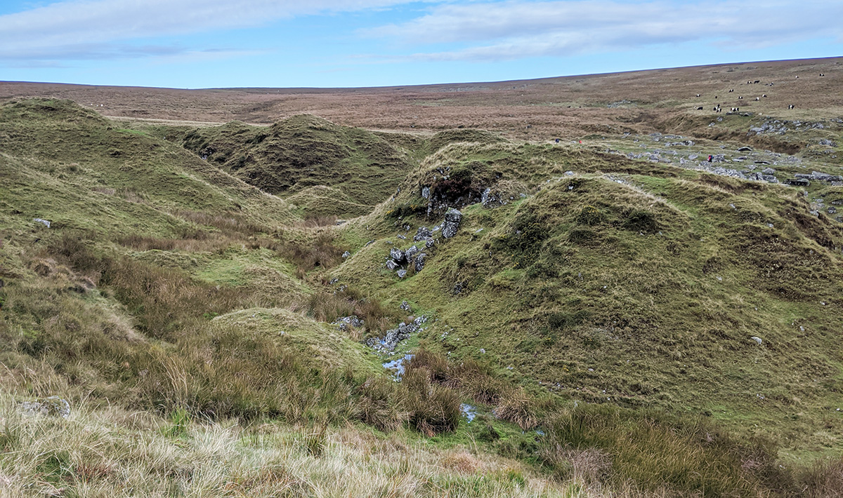 Abbot's Way Walk - a long-distance day walk between Buckfast and ...