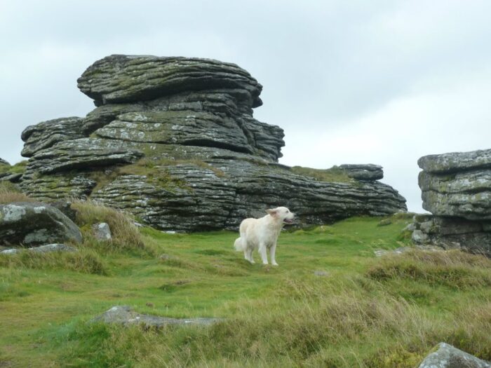 Moors and Tors of Dartmoor - Exploring Dartmoor