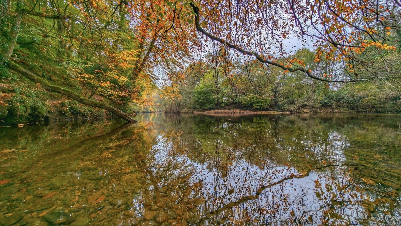 Exploring the River Dart: Dartmoor’s Iconic Waterway of Beauty, Legends ...