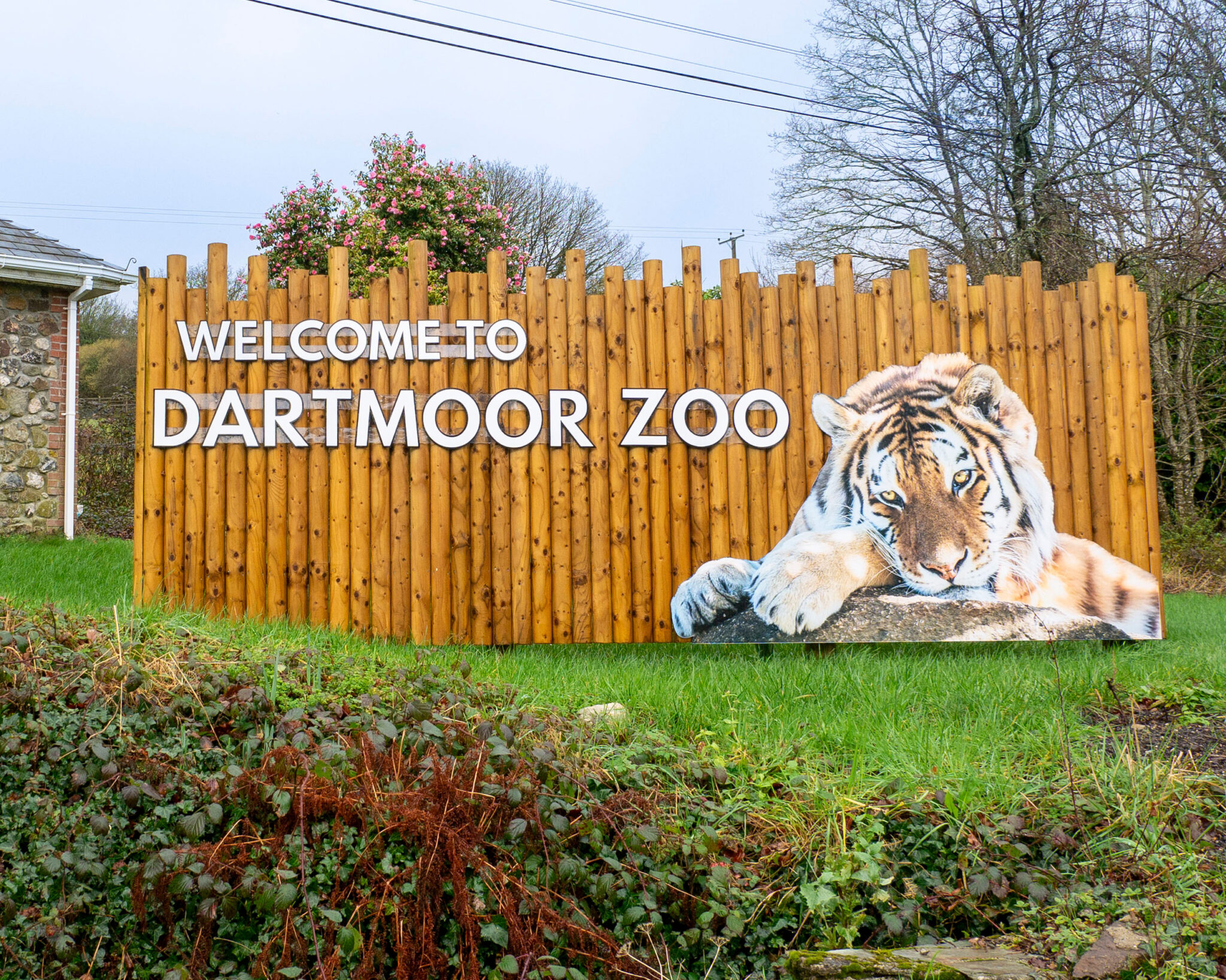 Dartmoor Zoo has the best year ever! - VisitDartmoor