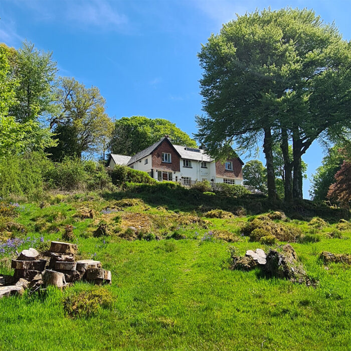 Templar Way - Walk on Dartmoor - Walking Routes