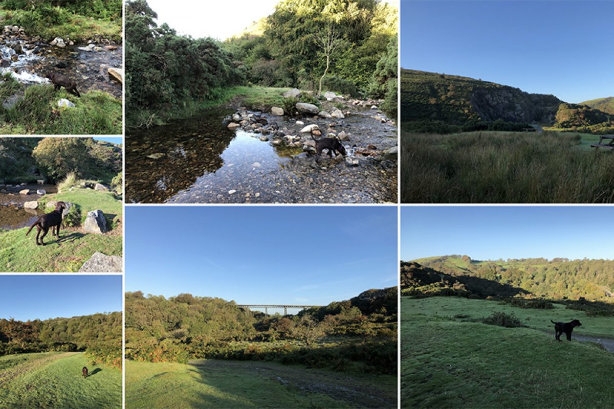Meldon Quarry with Maisie - VisitDartmoor